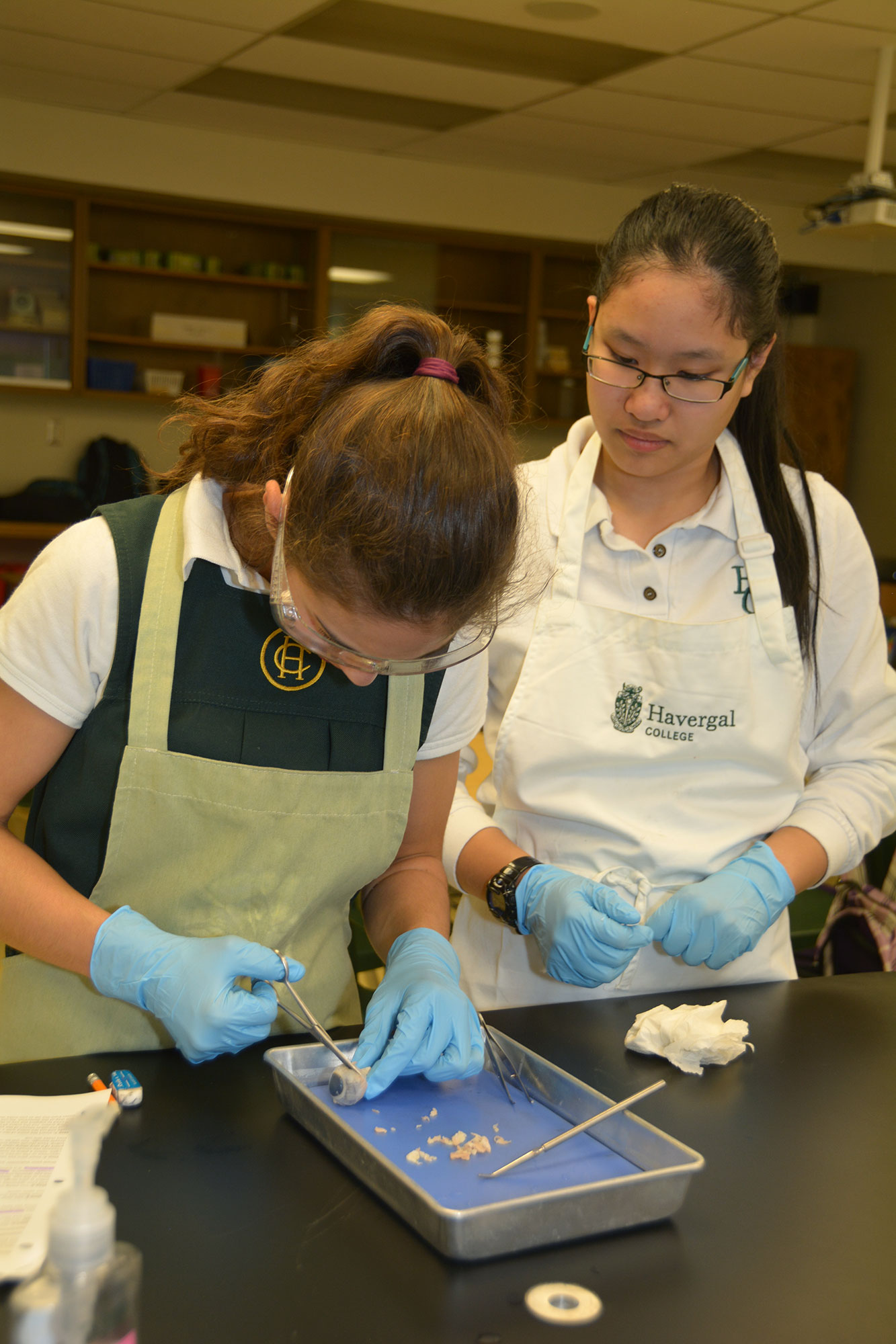 Grade 10 Overview - Havergal College